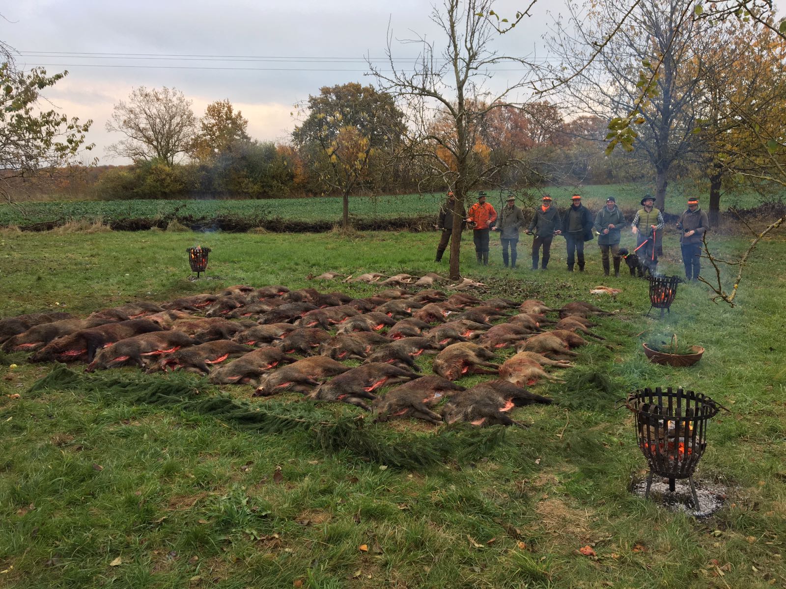 Deutsche Jäger erlegen über 820.000 Wildschweine